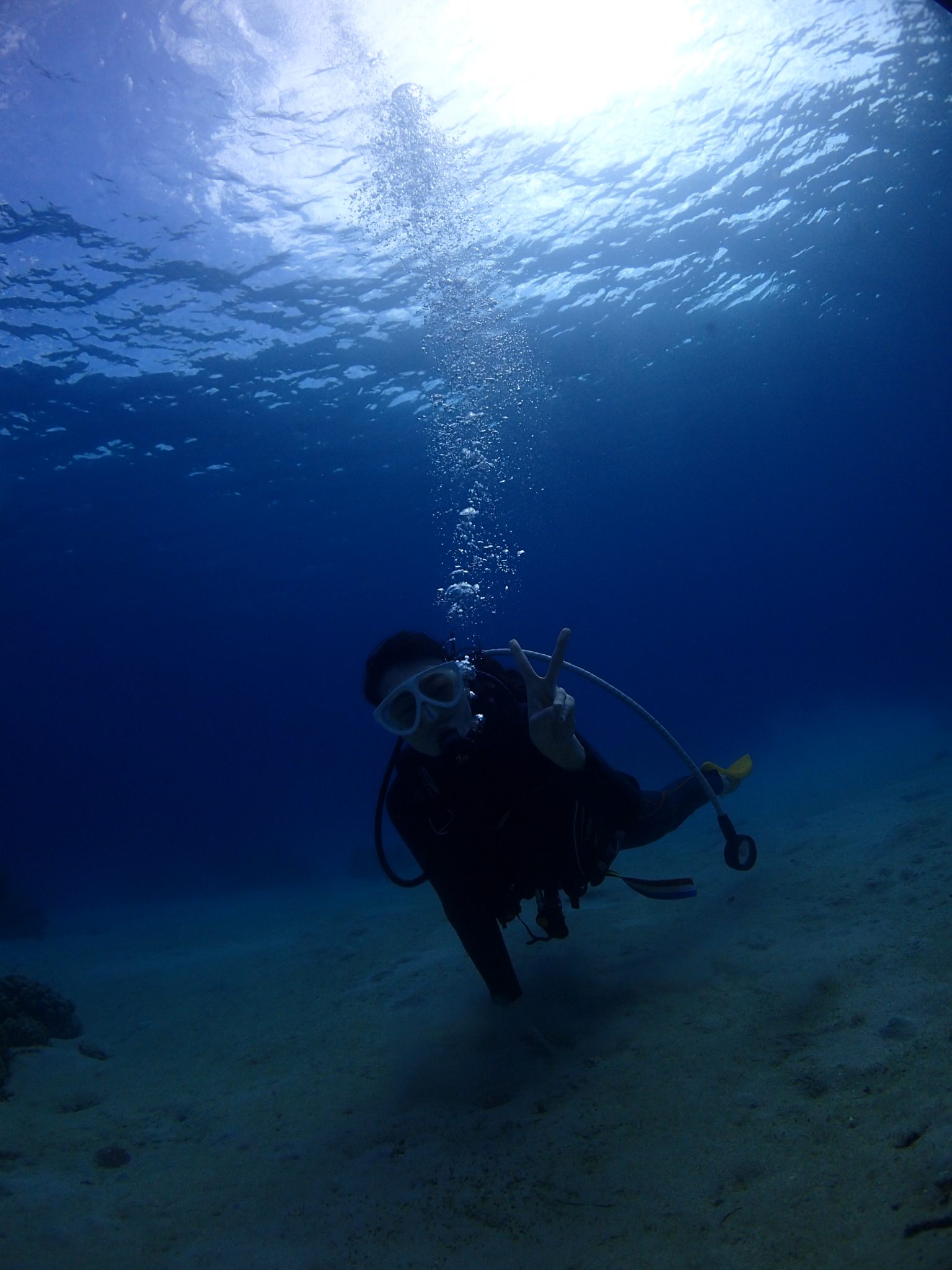 エナジーチャージ | 西表島のダイビングサービス。体験ダイビング・ファンダイビング、少人数制の個人店 | GOODDIVE