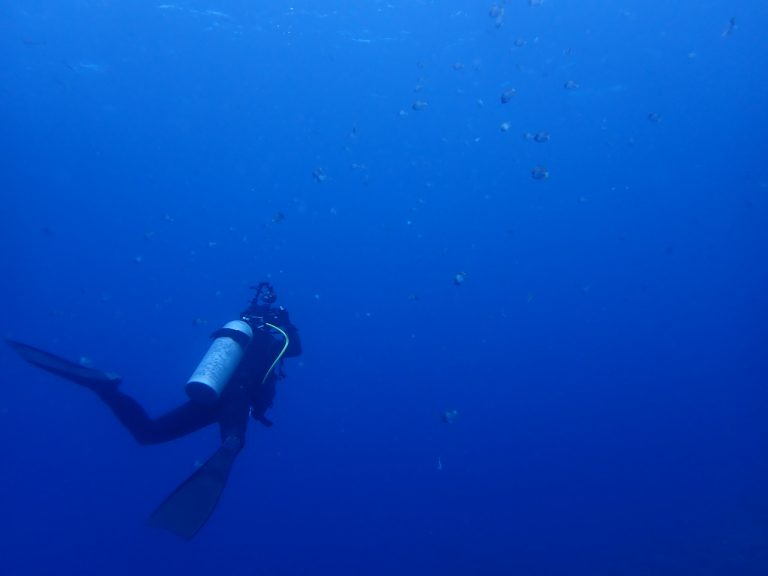 カスミまみれ | 西表島のダイビングサービス。体験ダイビング・ファンダイビング、少人数制の個人店 | GOODDIVE